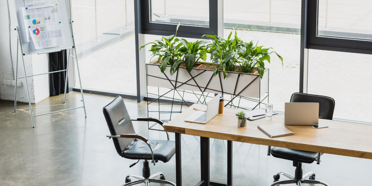 Introducing our Creative Content Executive | 360 Talent Solutions