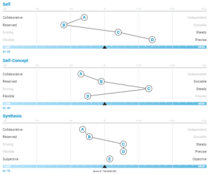 The PI Behavioral Assessment™ - 360 Talent Solutions